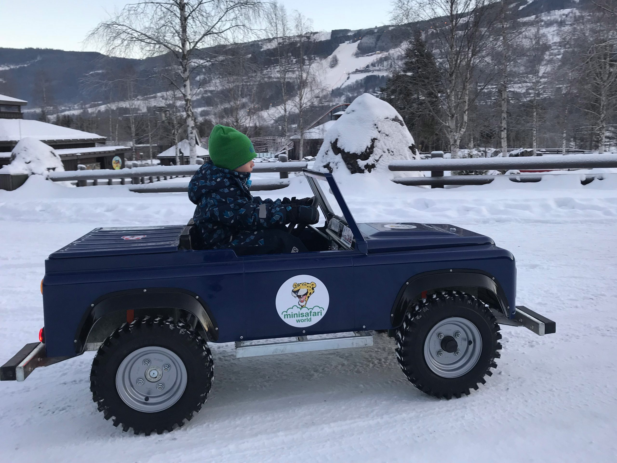 Minisafariworld
